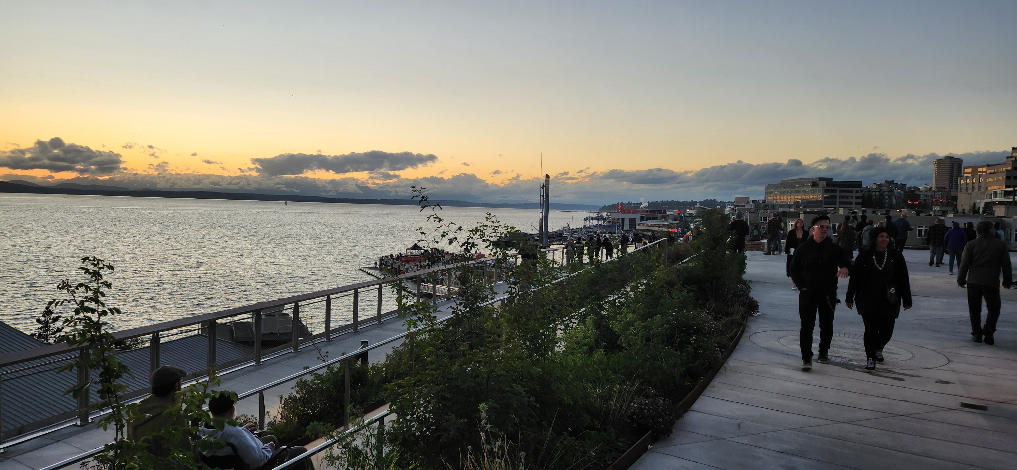 Impressions of the Overlook Walk – Seattle Transit Blog